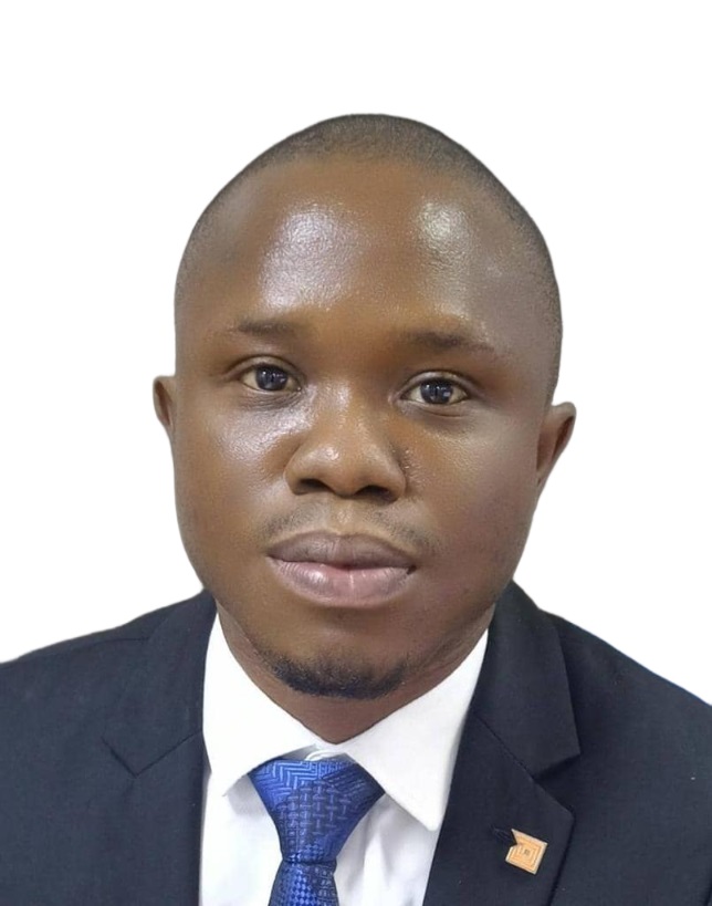 Imonikhe Ayeni | Principal Insight Analyst & Data Scientist